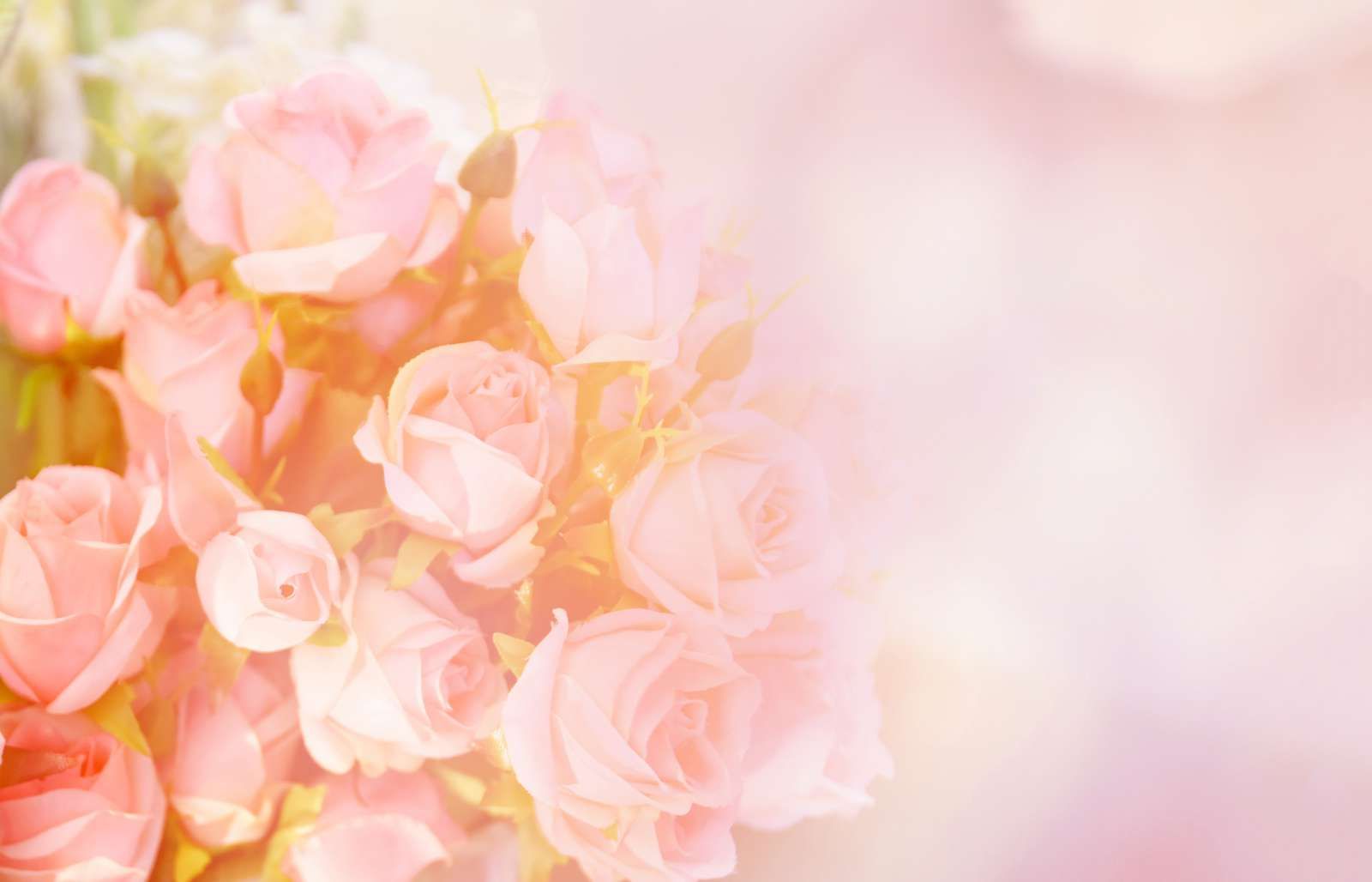 Roze Rozen Achtergronden Mooi Boeket Roze Rozen, Bloemen Op Een